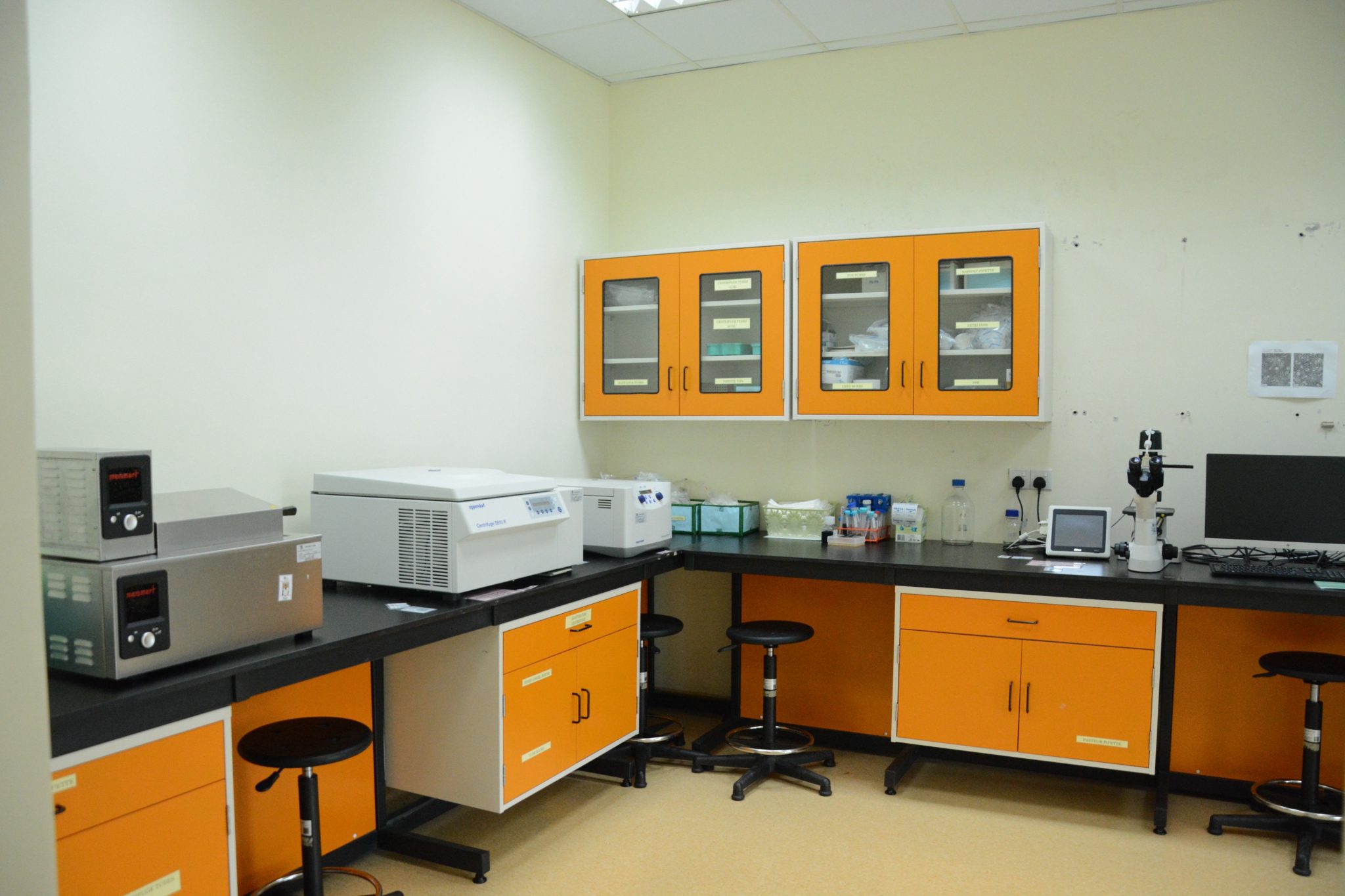 Tissue Culture Laboratory | Jabatan Anatomi Fakulti Perubatan