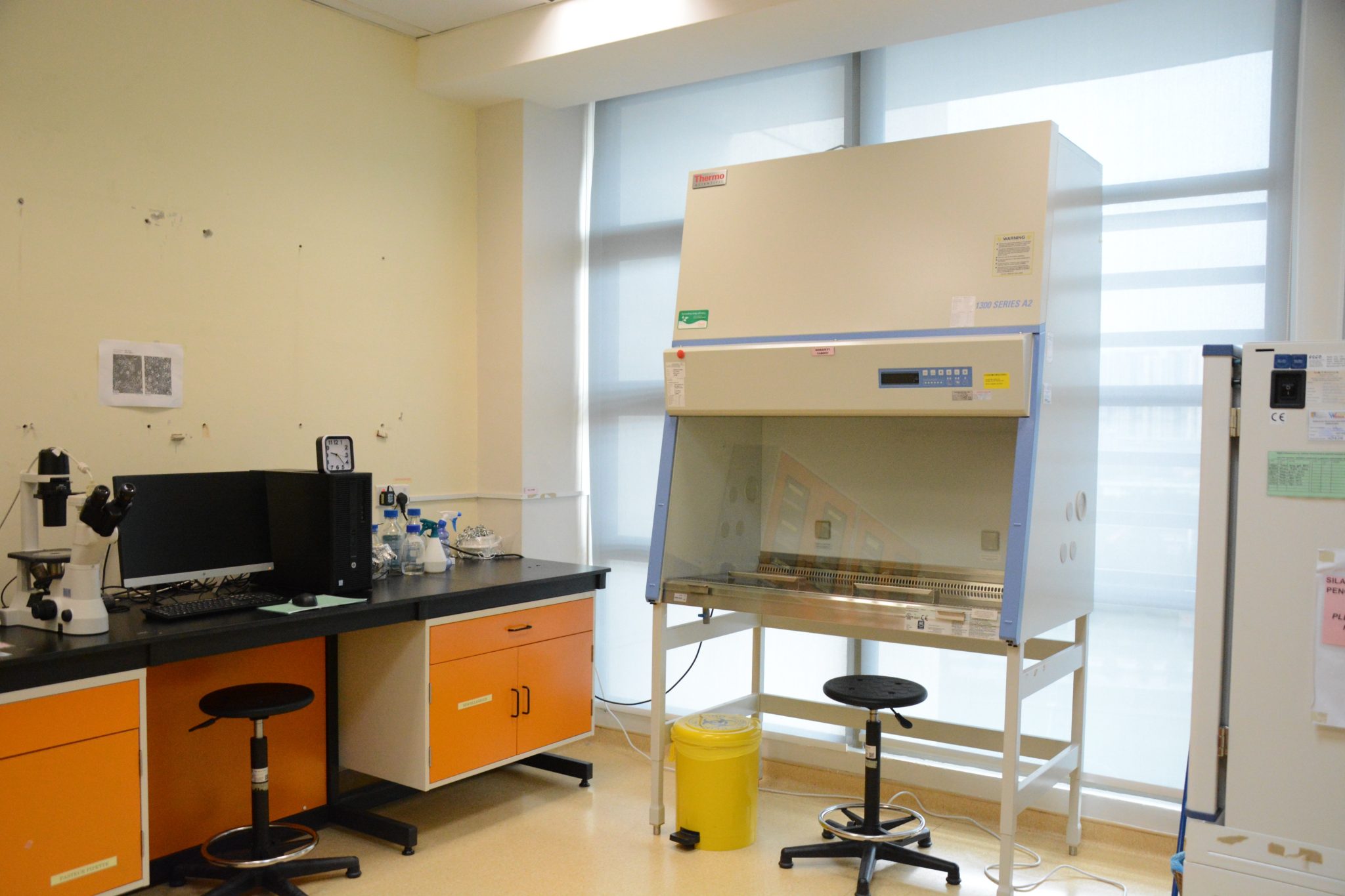 Tissue Culture Laboratory | Jabatan Anatomi Fakulti Perubatan