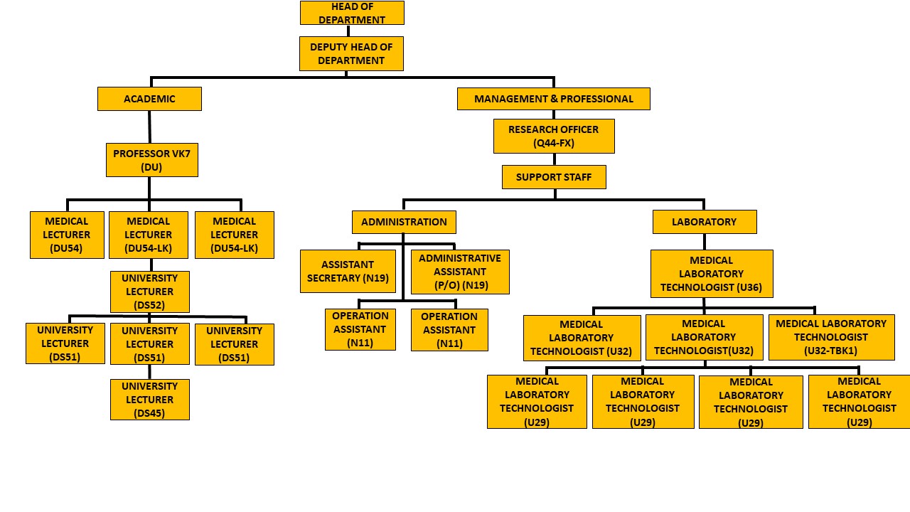 ORGANIZATIONAL CHART – Jabatan Fisiologi, Fakulti Perubatan