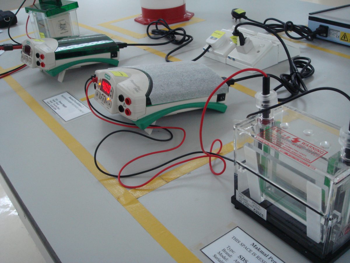 Proteomics Lab | Institut Biologi Sistem