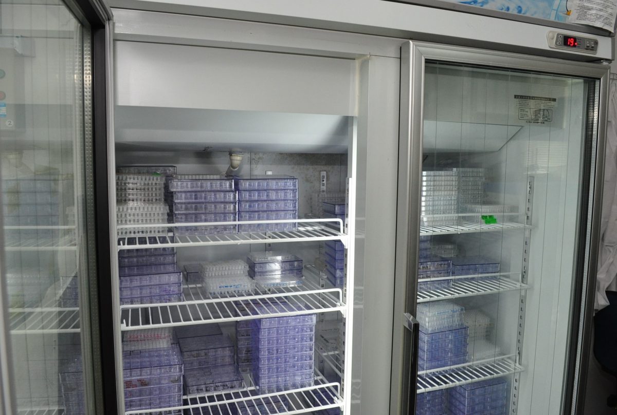 Proteomics Lab | Institut Biologi Sistem