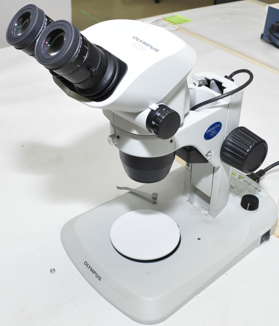 Genomics Lab | Institut Biologi Sistem