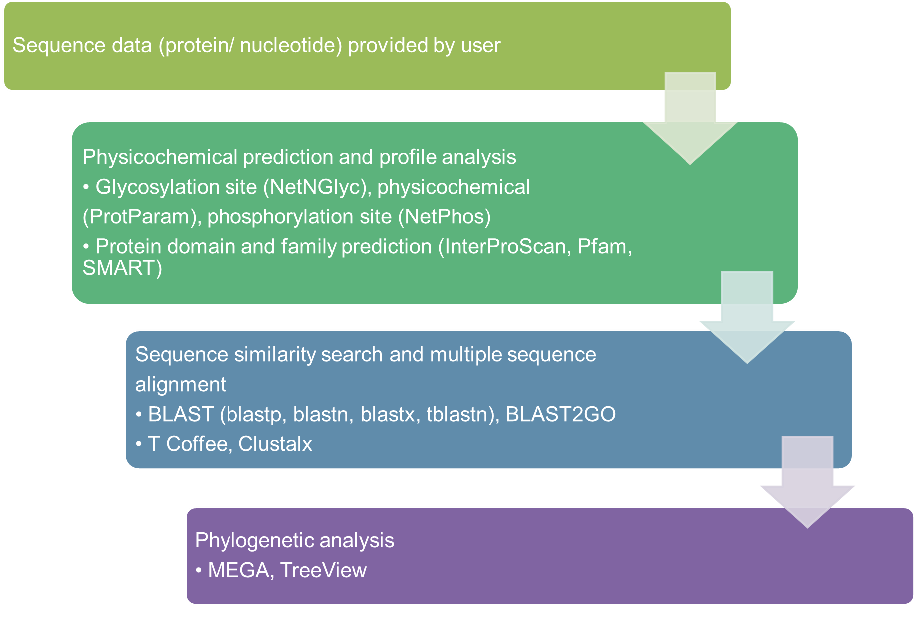 CODA – Bioinformatics | Institut Biologi Sistem