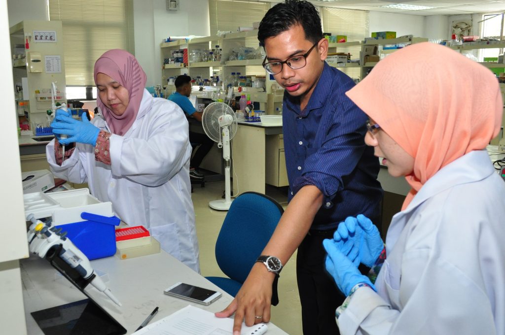 INBIOSIS Workshop Series 2022 | Institut Biologi Sistem
