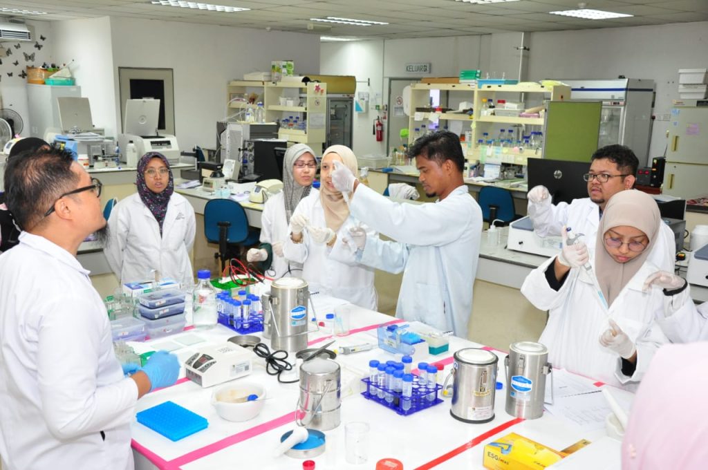 INBIOSIS Workshop Series 2024 | Institut Biologi Sistem