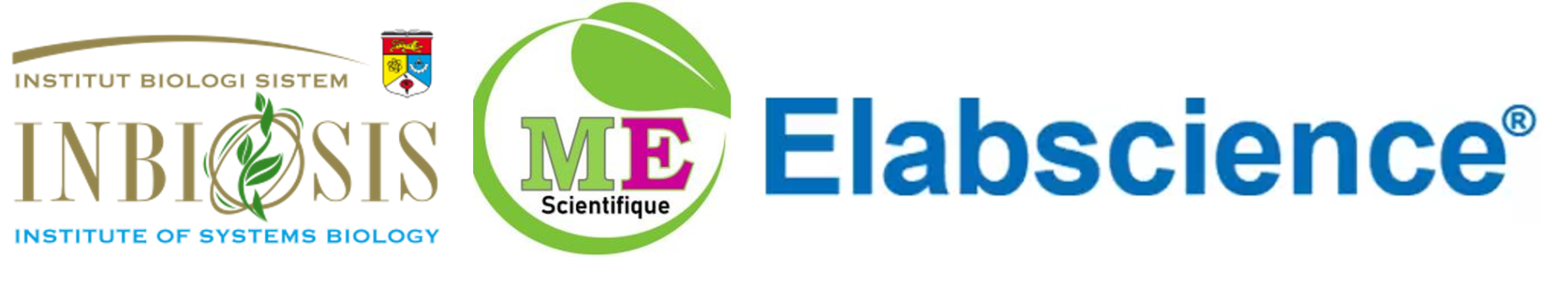 INBIOSIS Workshop Series 2024 – Animal Cell Culture and ELISA ...