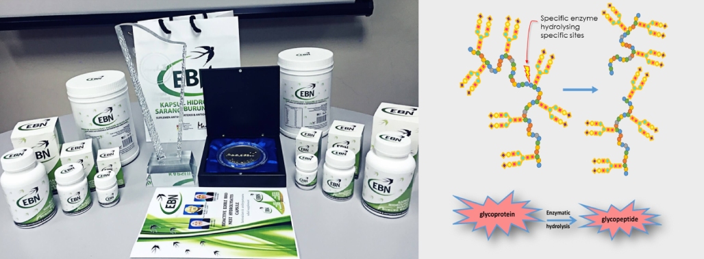 ES1 – Sustainability@UKM