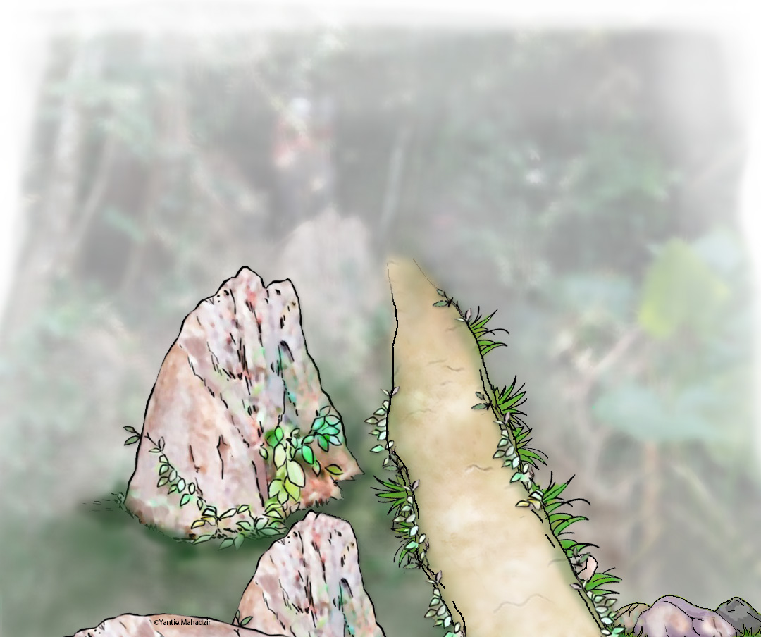 Fungsi Megalit | Megalitik Negeri Sembilan