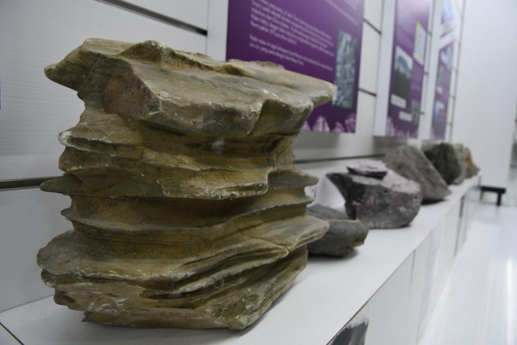 Introduction – Muzium Sejarah Alam