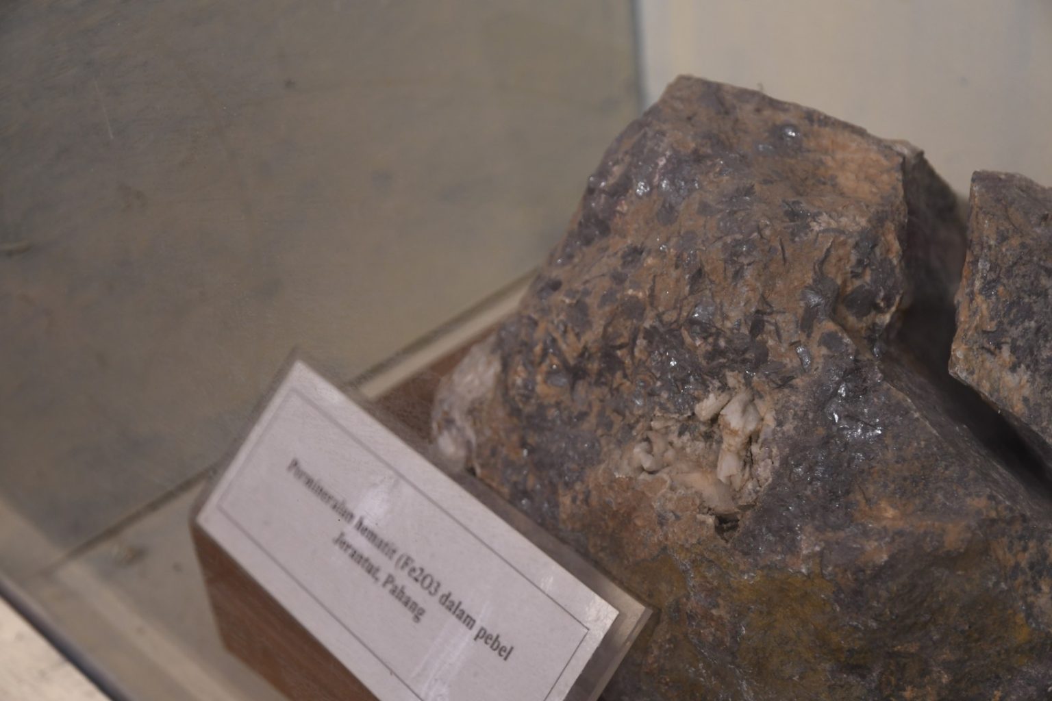 Pengenalan – Muzium Sejarah Alam