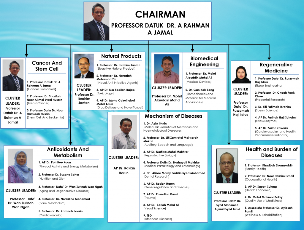 Organisation Chart | Health & Medical Technology Niche