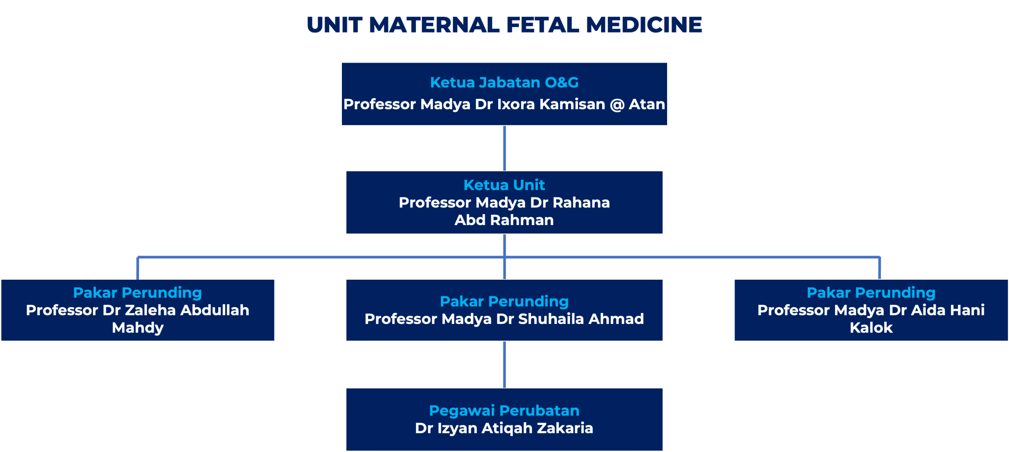 Maternal Fetal Medicine – Jabatan Obstetrik Dan Ginekologi