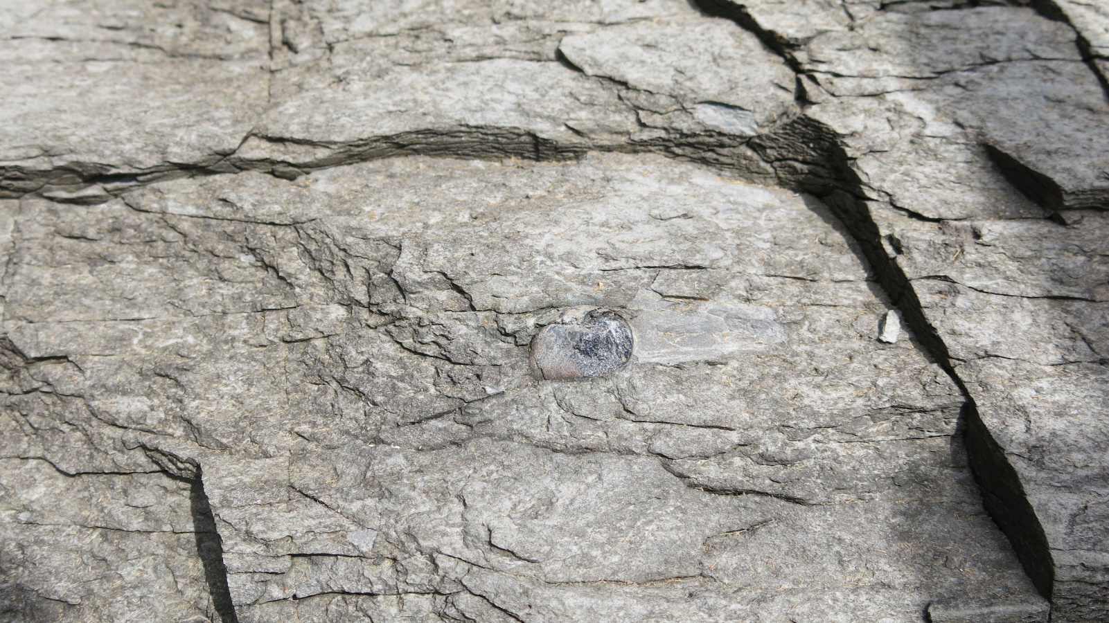 Lawatan ke Tapak Batu Jatuh Tanjung Mali Bersama YTM Tunku Temenggong ...