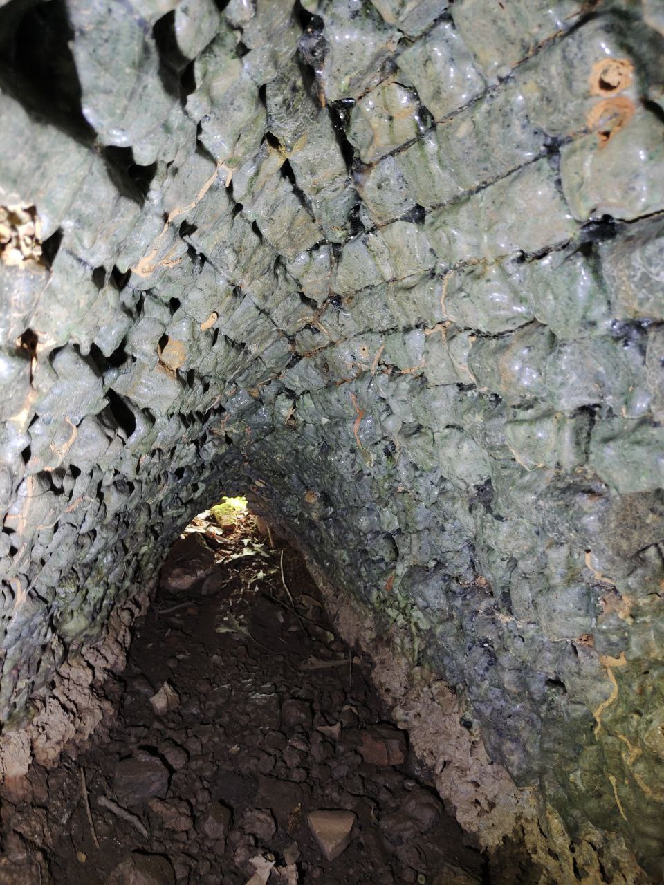 Kerja Lapangan Kajian Kebolehlaksanaan Teknologi Realiti Maya dalam ...