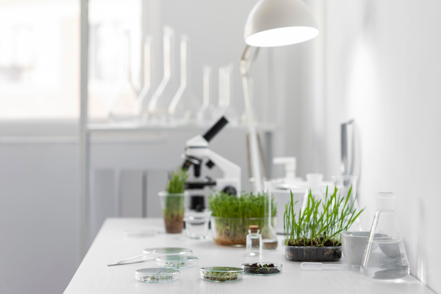 PLANT BIOTECHNOLOGY - FST Postgraduate