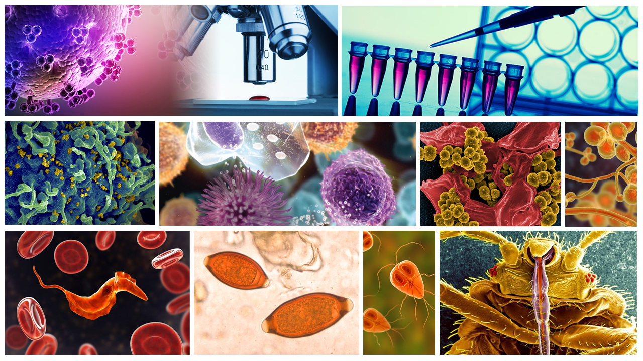 Infectious Disease & Entomology Research League Group (IDEAL ...