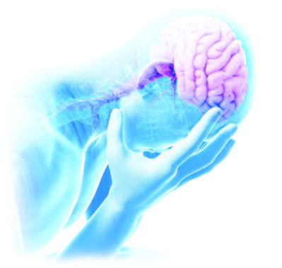 Stress Enzyme - Secretariat of Research & Innovation Faculty of Medicine