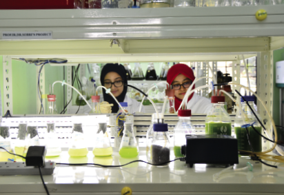 Climate Change- CARBON CAPTURE LABORATORY - UKM-YSD Chair for ...