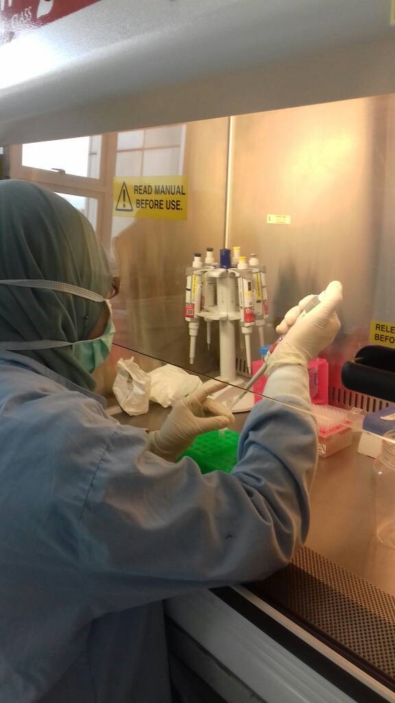 Penyaringan polimorfisme HLA-B*15:02 untuk pesakit epilepsi di Hospital ...