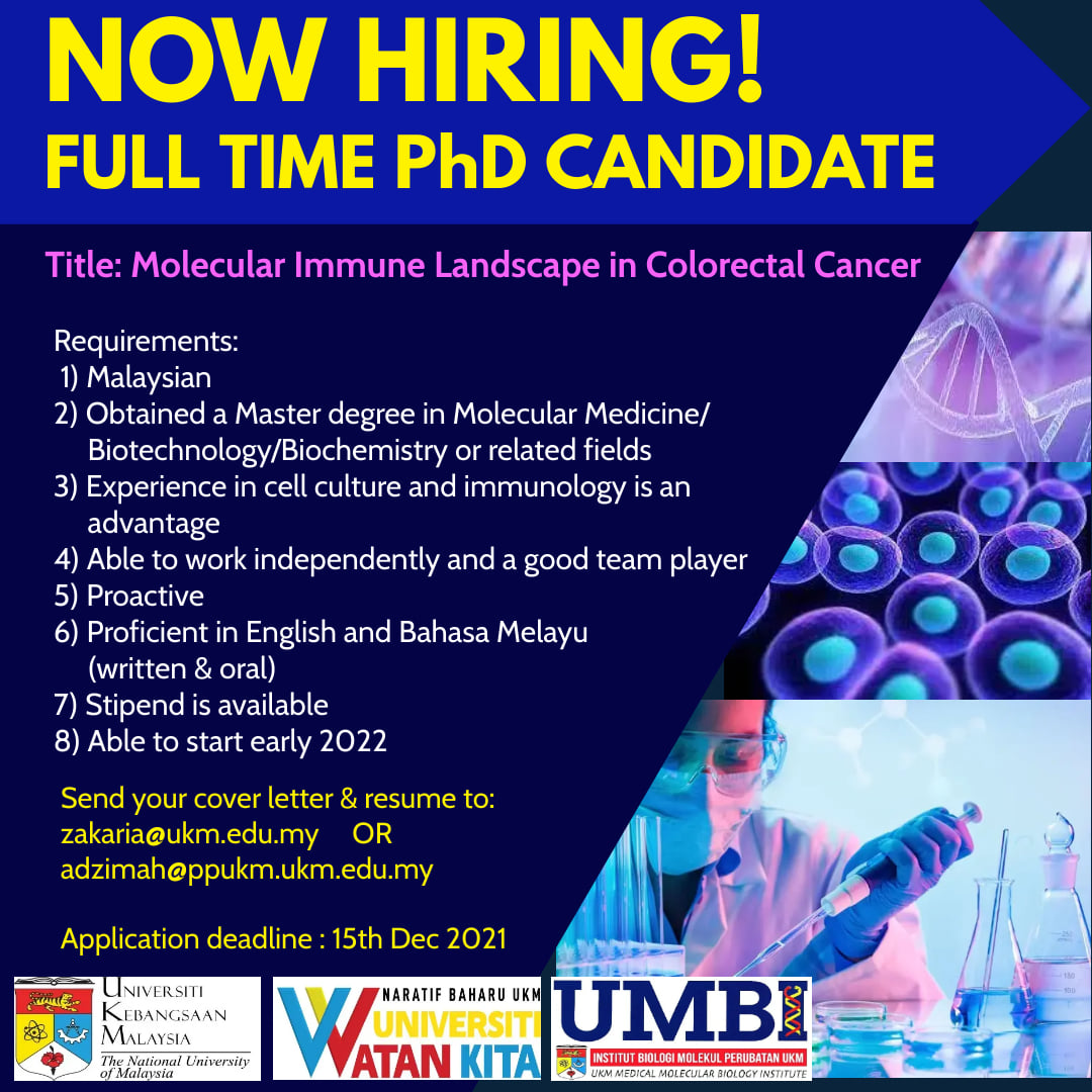 Full Time PhD Candidate jpg
