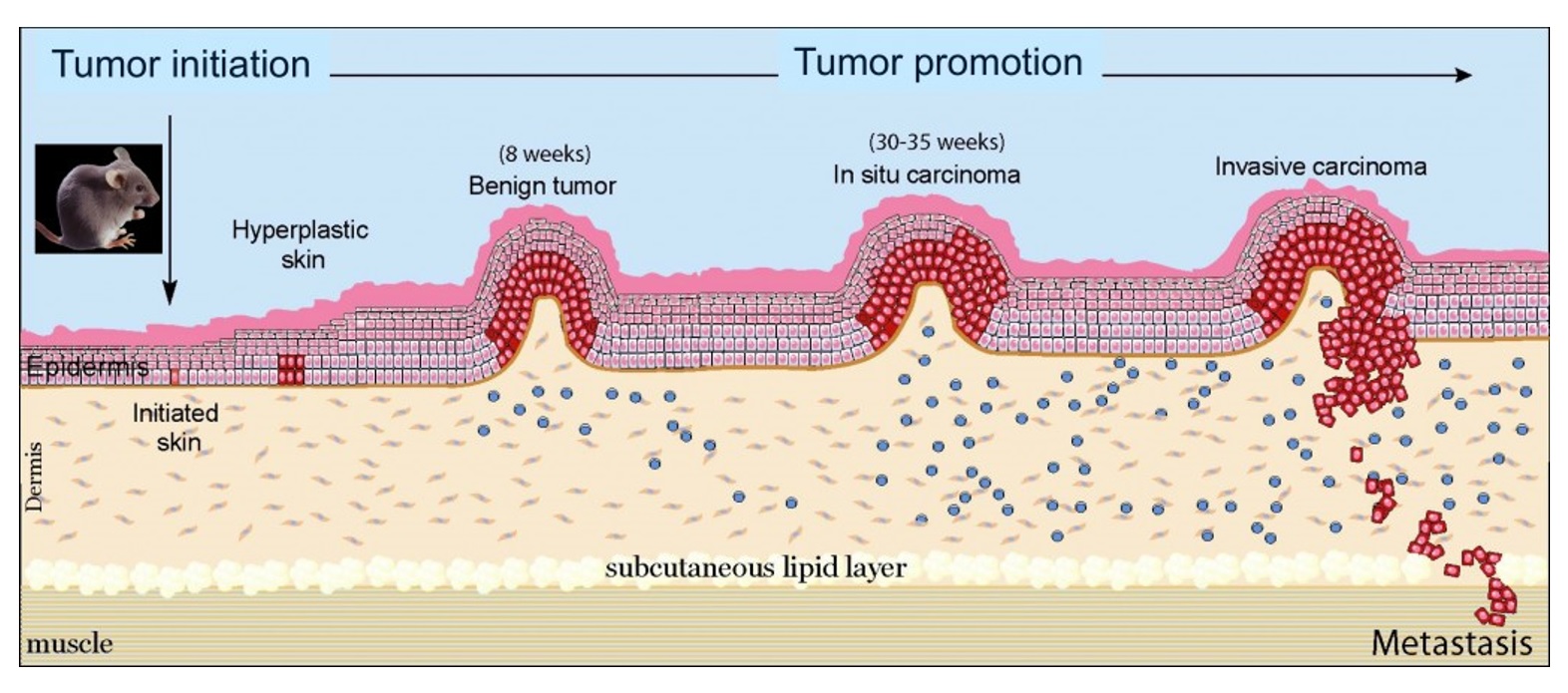 Biopenanda Untuk Pengesanan Awal Kanser | UKM Medical Molecular Biology ...