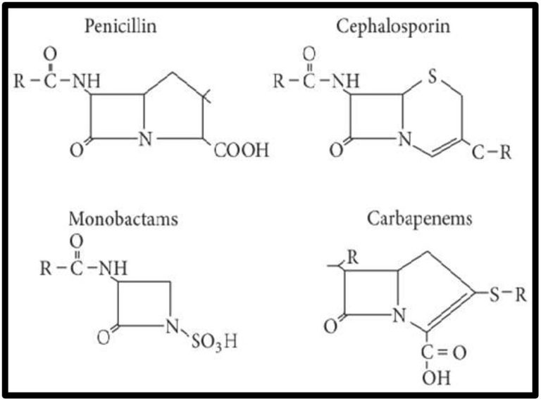 Introduction to Extended-Spectrum β-Lactamase (ESBL) | UKM Medical ...