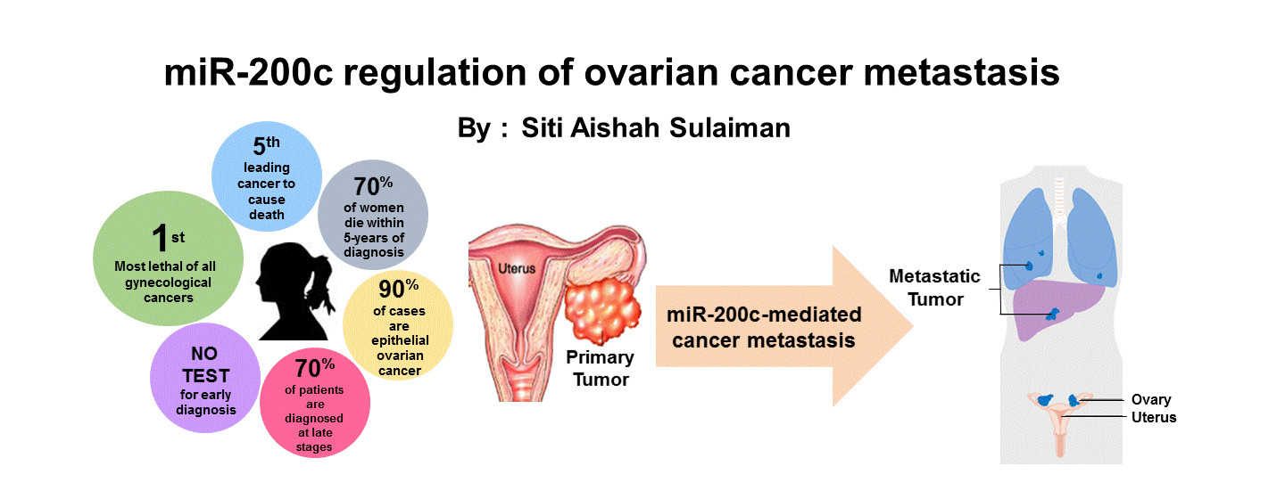 miR-200c Regulation of Ovarian Cancer Metastasis | UKM Medical ...